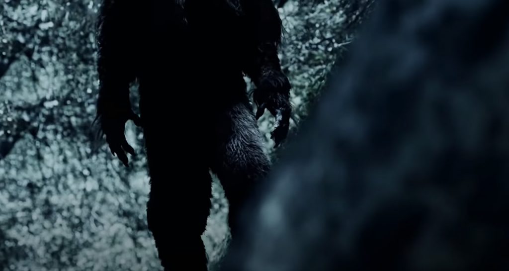 WHAT STATE HAS THE MOST BIGFOOT SIGHTINGS? | The Howler Monkey