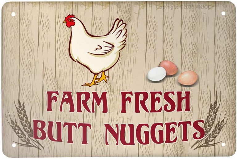 FUNNY CHICKEN SIGNS | The Howler Monkey