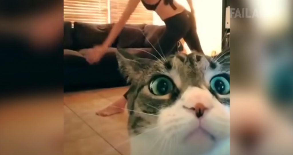 THE BEST FAILS EVER! SO FAR! | The Howler Monkey