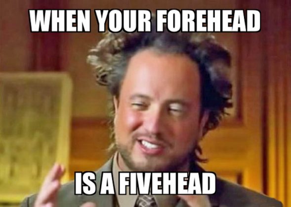 FOREHEAD, FIVE HEAD, SIX HEAD, SEVEN… | The Howler Monkey